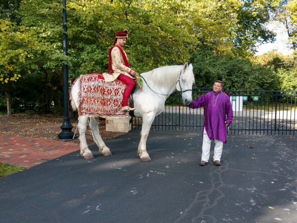Photo Gallery - Hileman Carriage | St Louis Missouri Horse Carriage ...